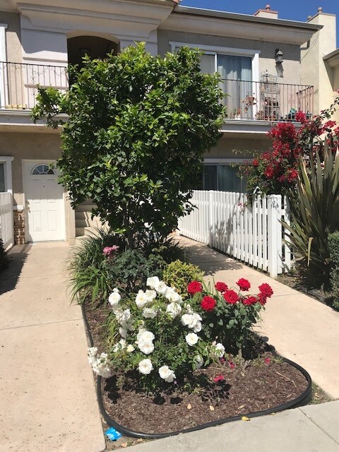 4529 Colfax Ave Unit 202, North Hollywood, CA 91602 - 4529 Colfax Ave ...