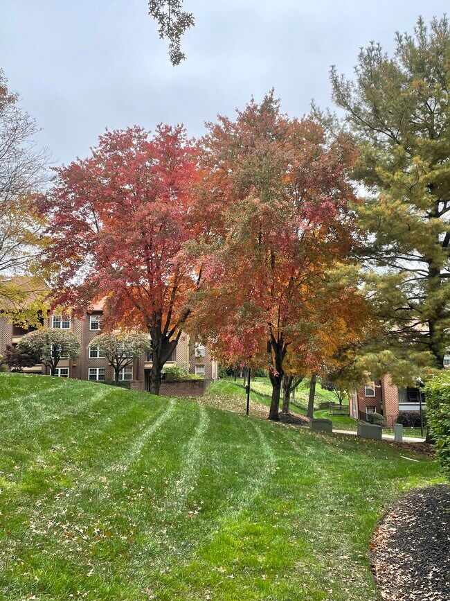 6 Tyler Falls Ct Unit D, Baltimore, MD 21209 - Condo for Rent in ...