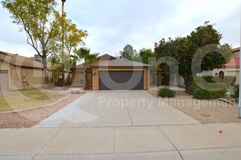 169 S Criss St, Chandler, AZ 85226 - House Rental in Chandler, AZ ...