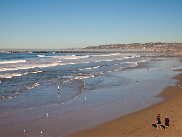 Elan Coco Palms Apartments - San Diego, CA | Apartments.com