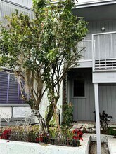 Tymber Skan On The Lake Apartments for Rent - Orlando, FL - 8 Rentals ...