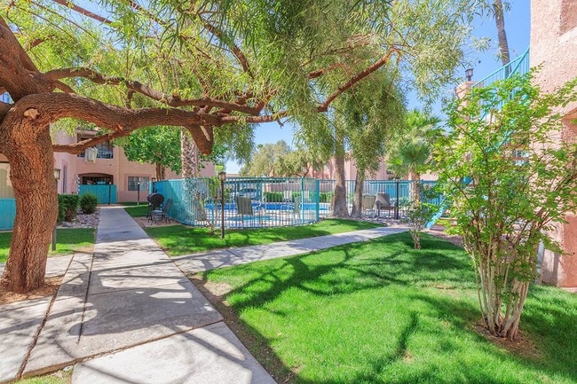 Winterhaven Terrace Rentals - Tucson, AZ | Apartments.com