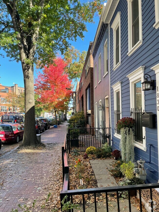 Houses for rent in Washington DC - 415 Homes