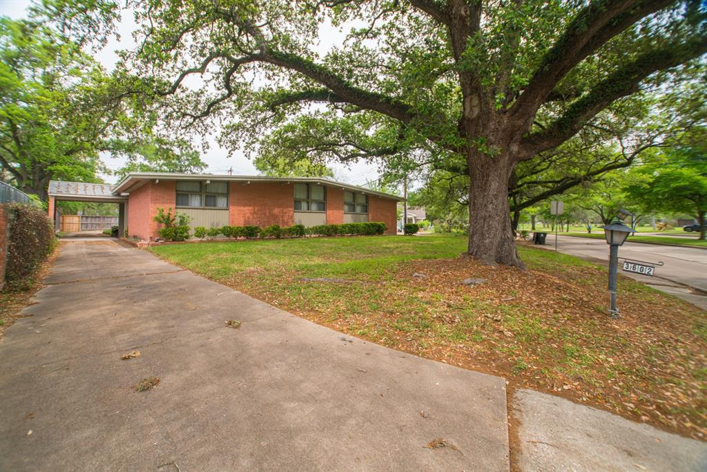 3602 N Braeswood Blvd, Houston, TX 77025 - House Rental in Houston, TX ...