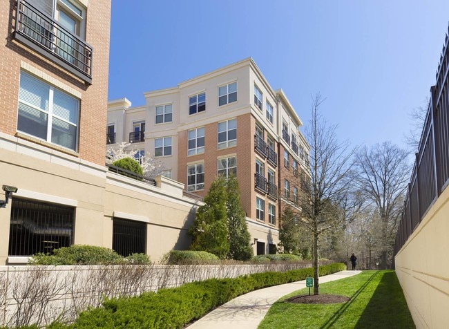 Domain College Park Apartments - College Park, MD | Apartments.com