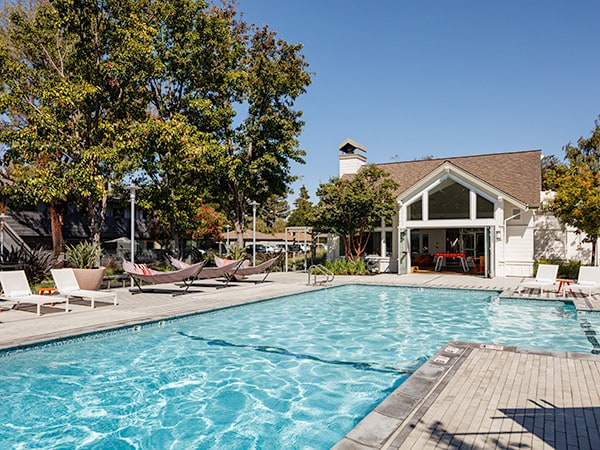 Monta Loma Apartments for Rent with a Walk-In Closet - Mountain View ...