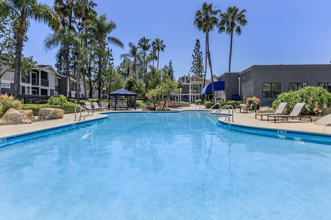 Apartments for Rent with a Walk-In Closet in South Redlands, Redlands ...