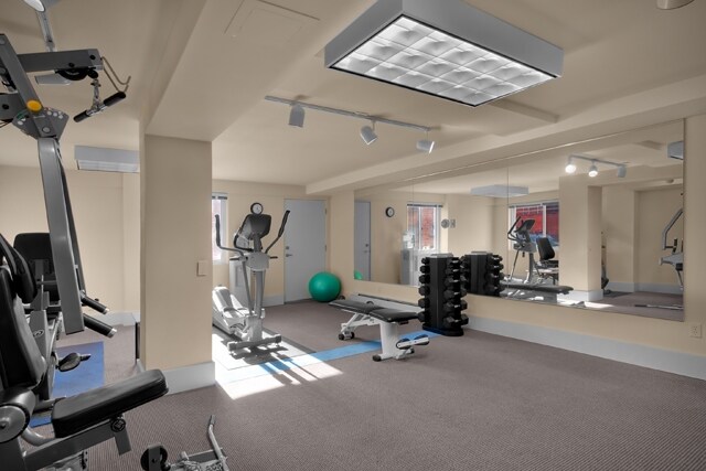 The Q Apartments - Seattle, WA | Apartments.com