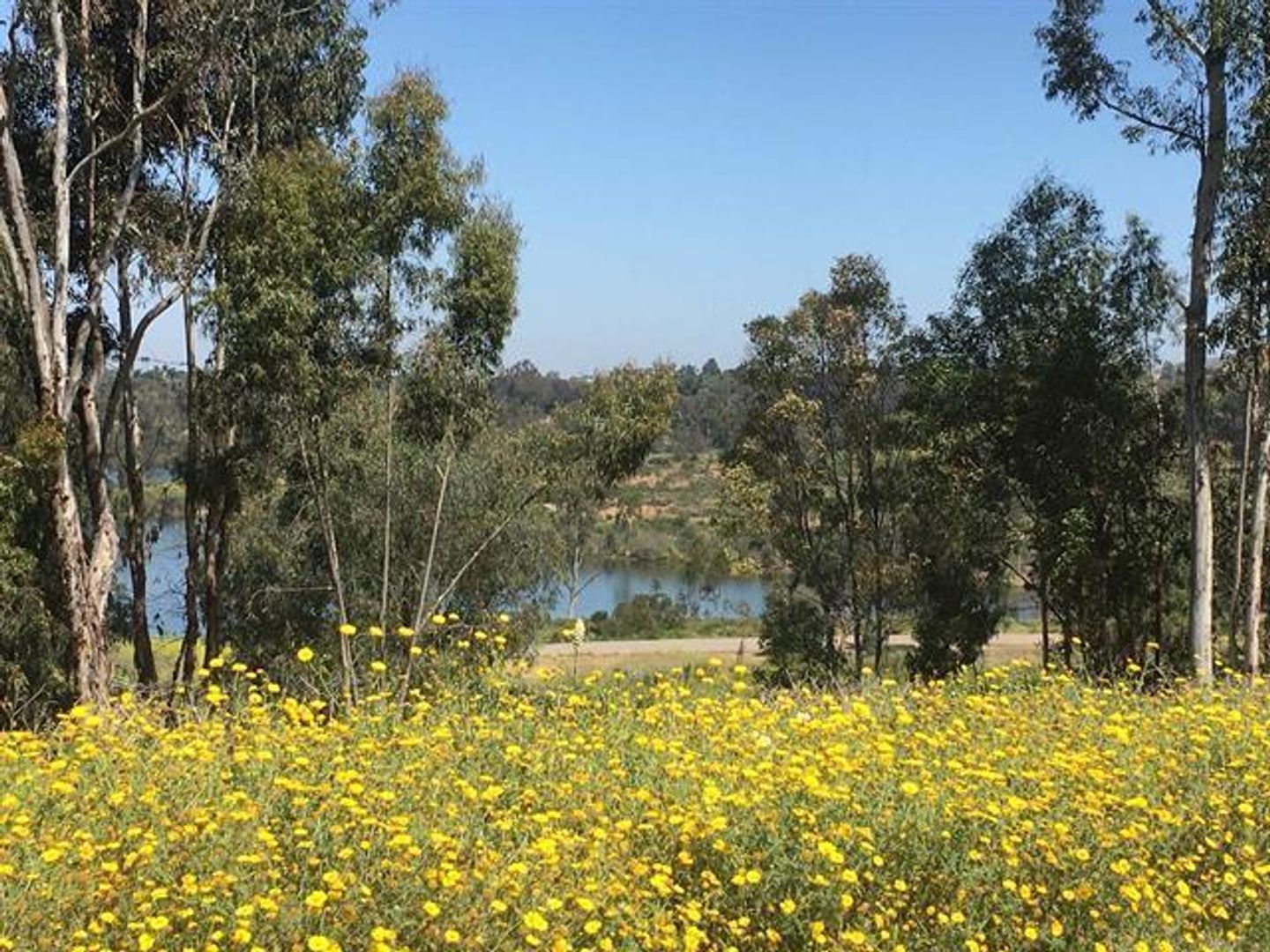 5700 Baltimore Dr Unit 5700 Baltimore #208, La Mesa, CA 91942 - Room ...