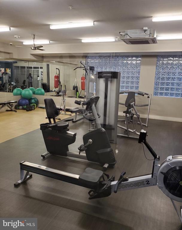 1320 Fenwick Ln Unit 700, Silver Spring, MD 20910 - Room for Rent in ...