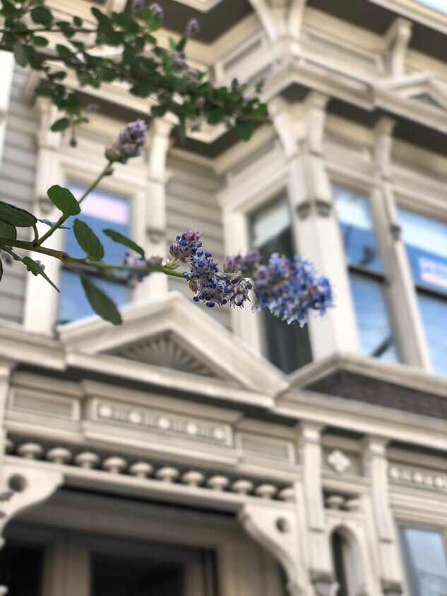 155 Page St Unit 155, San Francisco, CA 94102 - 155 Page St San ...