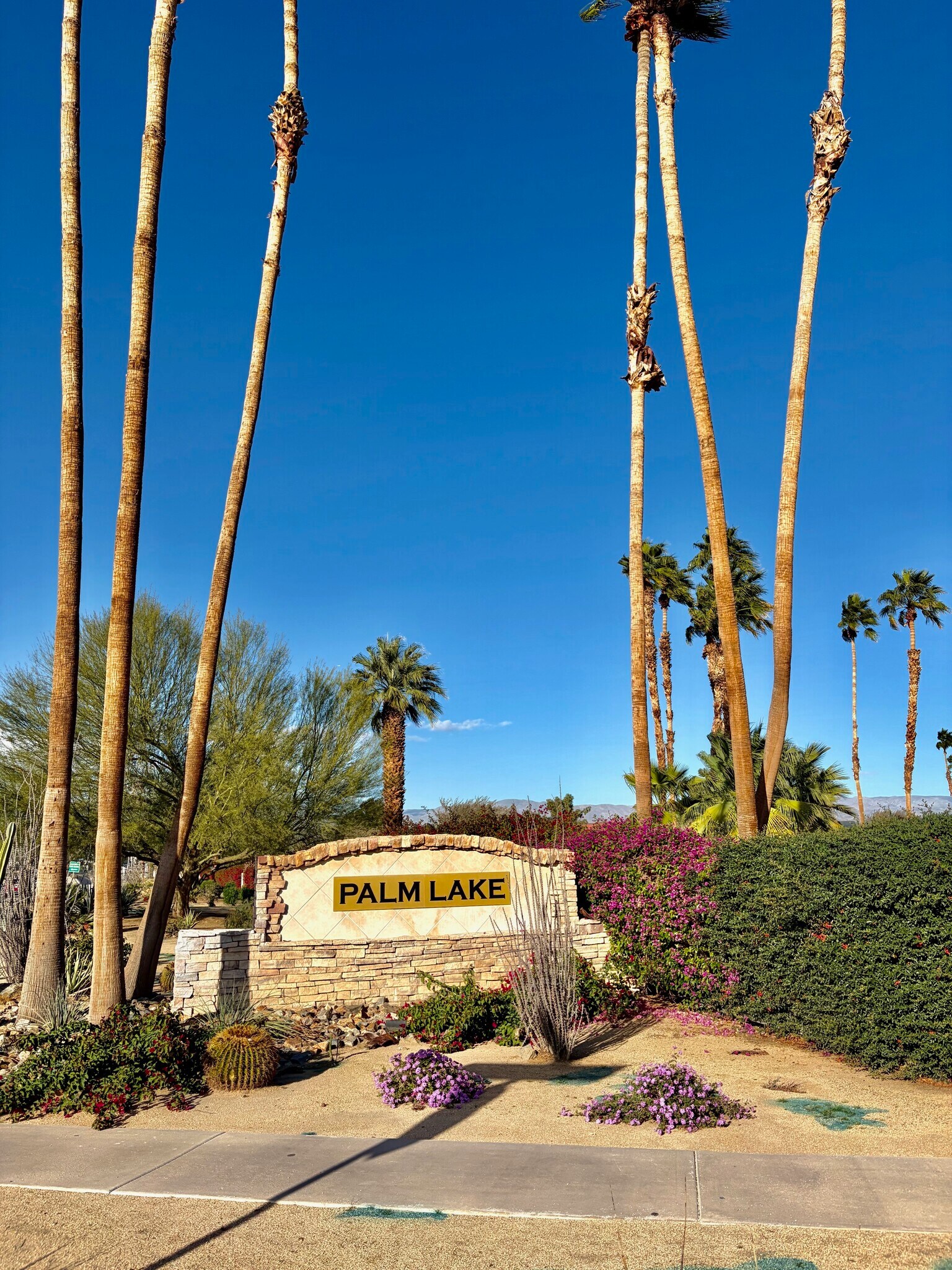 43376 Cook St Unit 87, Palm Desert, CA 92211 - Condo for Rent in Palm ...