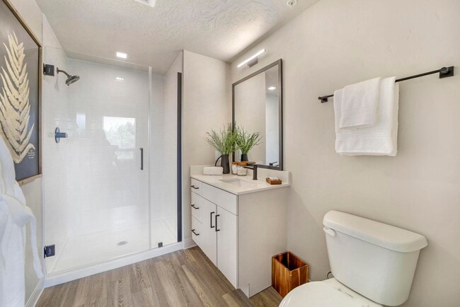 LOCAL Boise Apartments - 250 E Myrtle St Boise, ID | Apartments.com