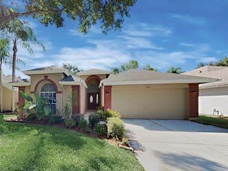 5652 Paddock Trail Dr, Tampa, FL 33624 - House Rental in Tampa, FL ...