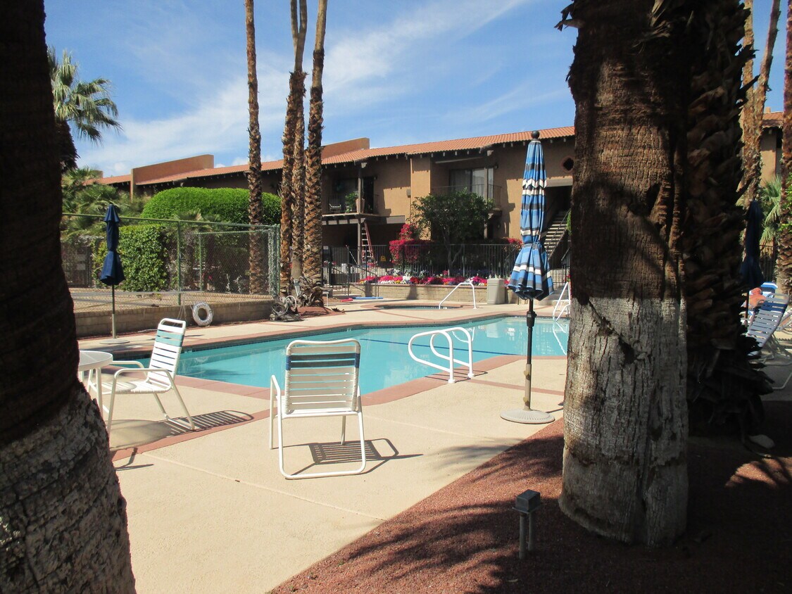 291 E Mel Ave Unit 313, Palm Springs, CA 92262 - Condo for Rent in Palm ...