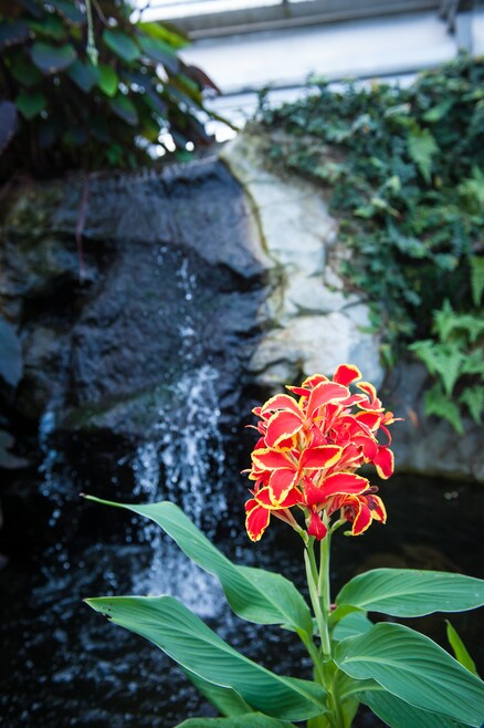 Is Rosemont a Good Place To Live in Baltimore MD? - Neighborhood Guide ...