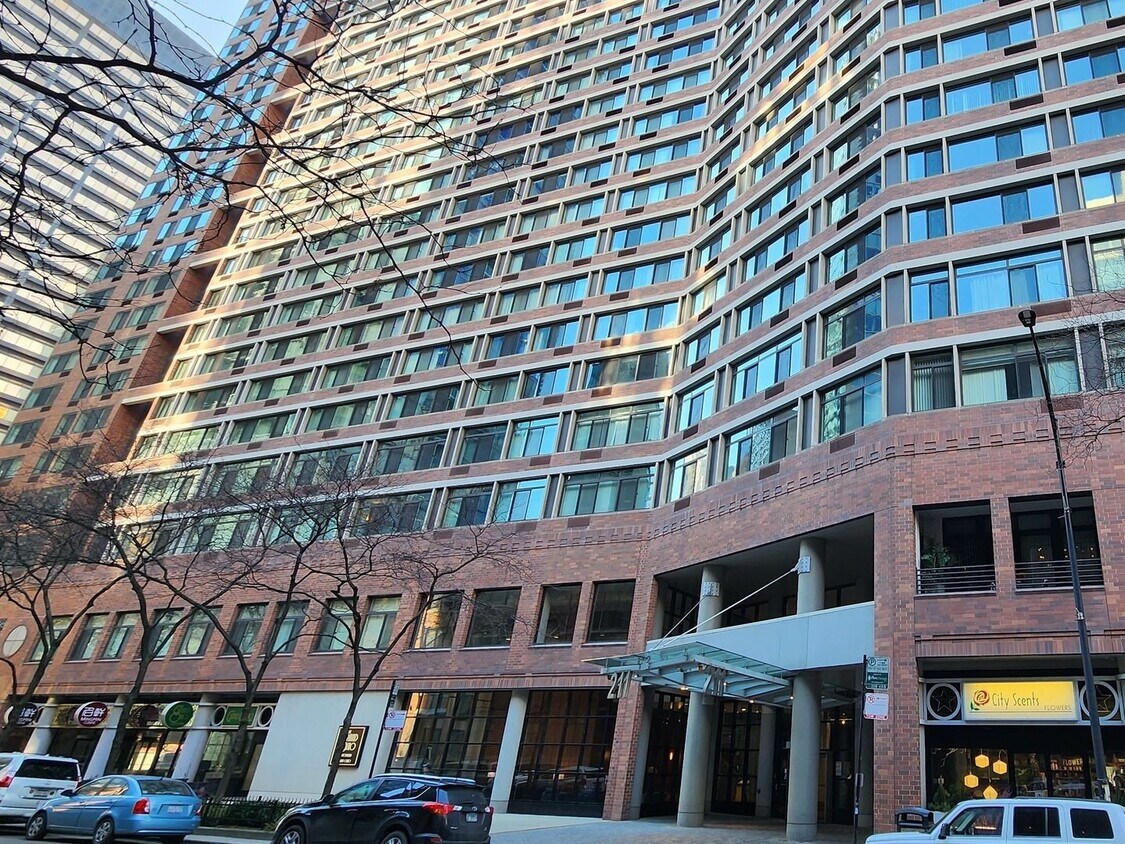 211 E Ohio St Unit 711, Chicago, IL 60611 - Room for Rent in Chicago ...
