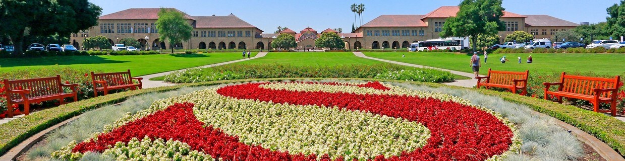 Stanford University - Stanford, CA: Campus Guide | Apartments.com