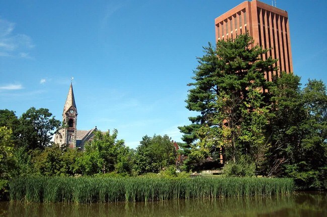 Alpine Commons Rentals - Amherst, MA | Apartments.com