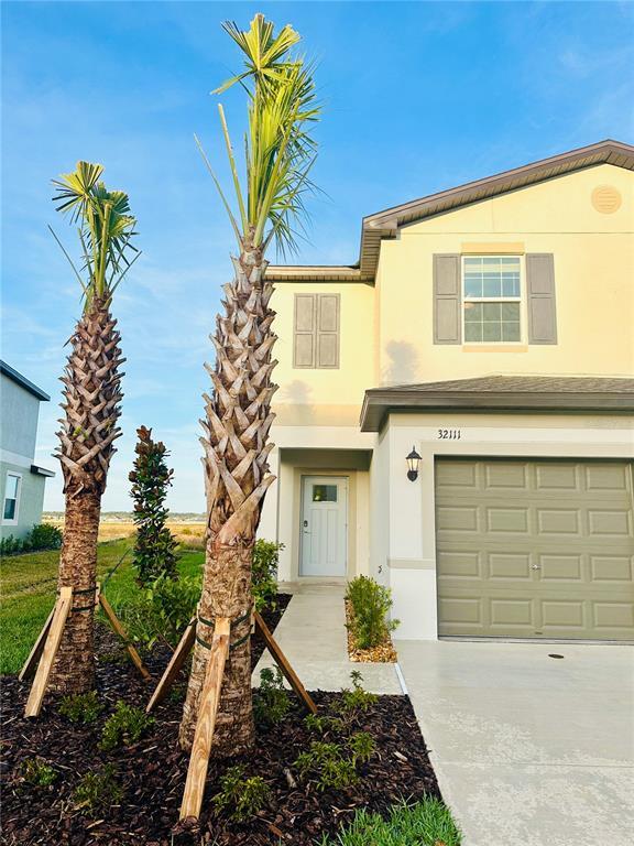 32111 Powderpuff Mimosa Dr, San Antonio, FL 33576 - Townhome Rentals in ...