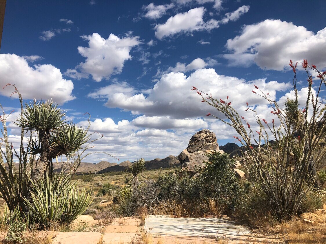8080 Sunset Rd, Joshua Tree, CA 92252 - House Rental in Joshua Tree, CA ...