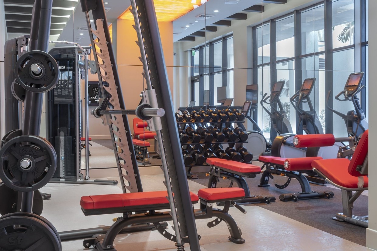 Maizon Brickell - 221 Sw 12th St Miami, FL 33130 | Apartments.com