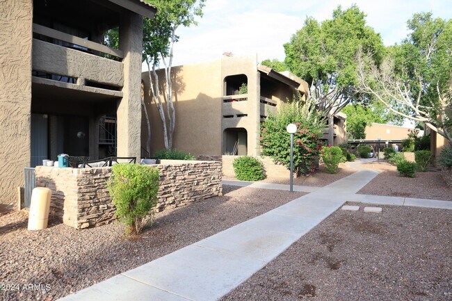 3825 E Camelback Rd Unit 206, Phoenix, AZ 85018 - Room for Rent in ...