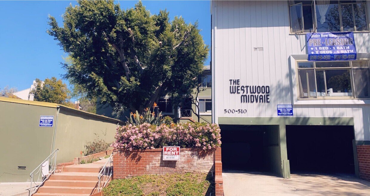 504 Midvale Ave Unit 504-B, Los Angeles, CA 90024 - Room for Rent in ...