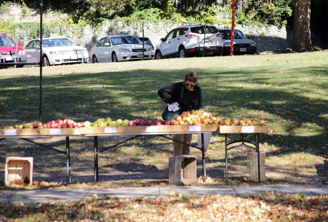 Is Wesley Heights a Good Place To Live in Washington DC? - Neighborhood ...
