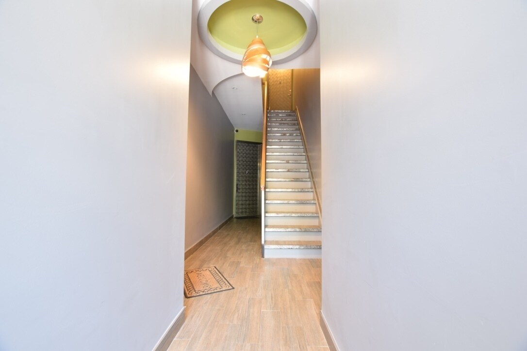 201 Marion St, Brooklyn, NY 11233 - 201 Marion St Brooklyn, NY 11233 ...