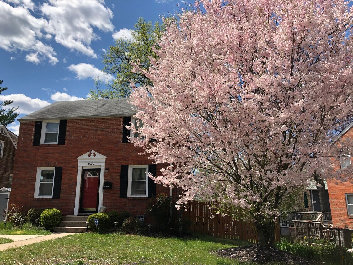 11604 Galt Ave, Silver Spring, MD 20902 - House Rental in Silver Spring ...
