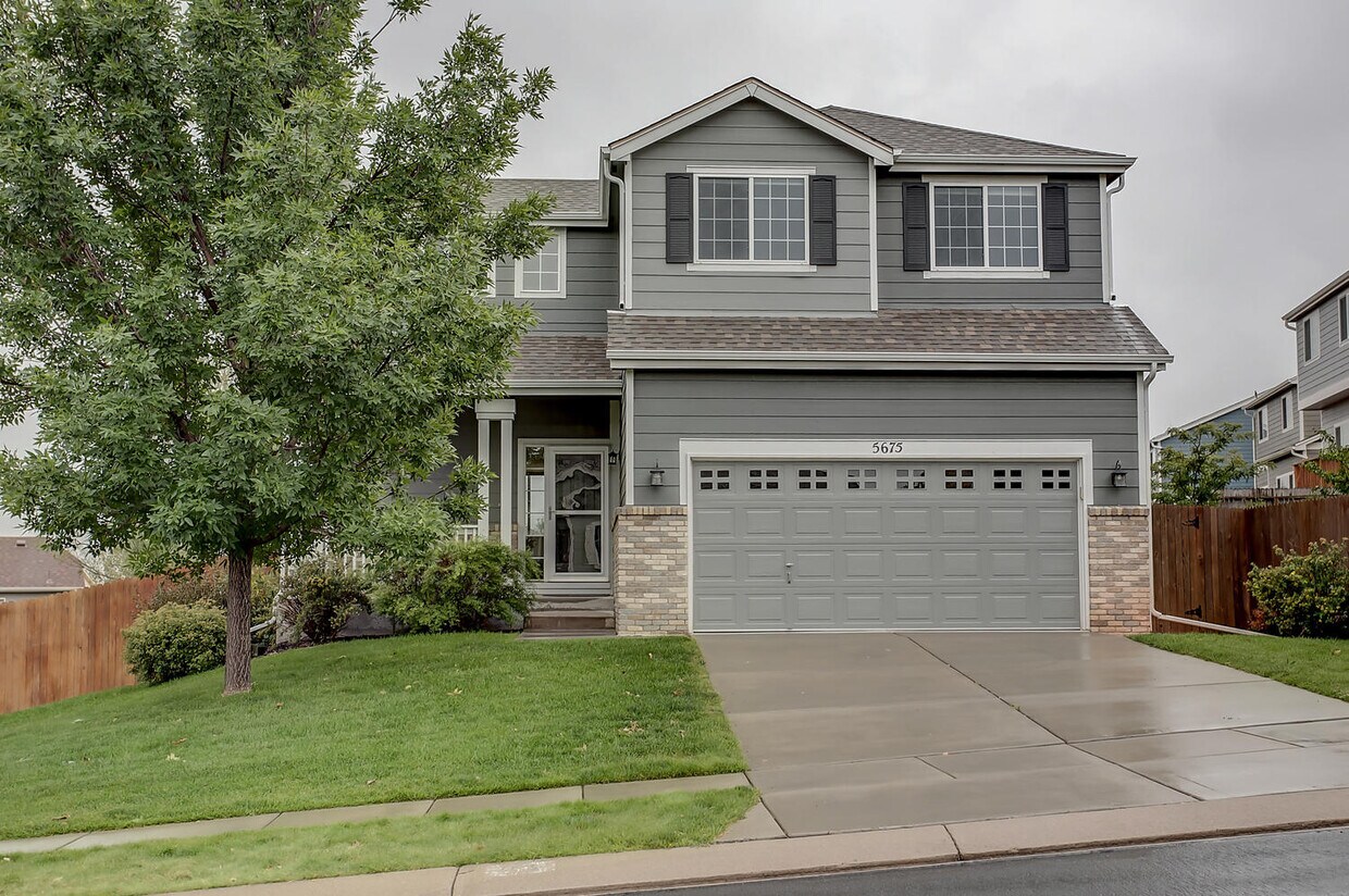 5675 Rose Ridge Ln, Colorado Springs, CO 80917 - House Rental in ...