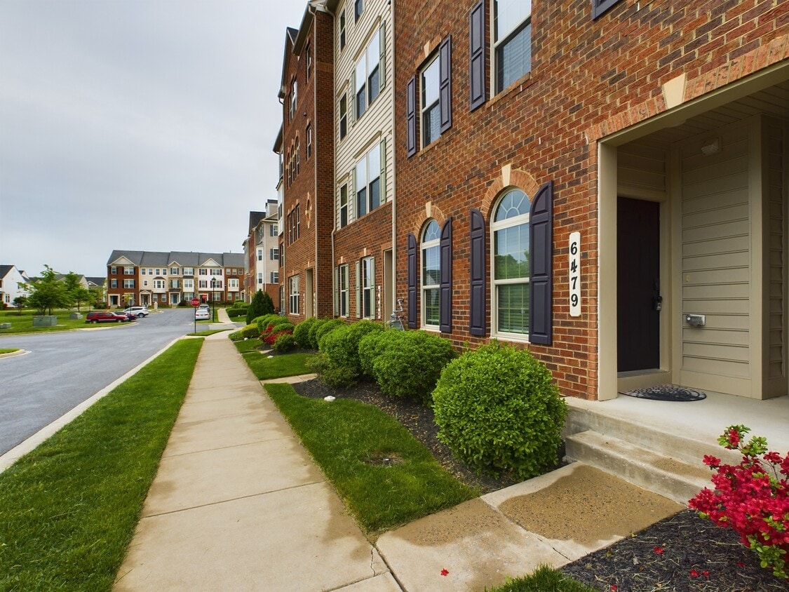 6479 Jack Linton Dr S, Frederick, MD 21703 - Townhome Rentals in Frederick MD | Apartments.com