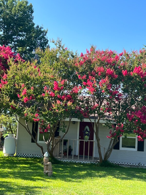 Apartments for Rent with Washer & Dryer Near Shady Lane Acres ...