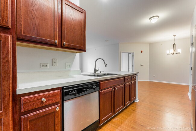 1291 W Lake St Unit 205, Addison, IL 60101 - Condo for Rent in Addison ...