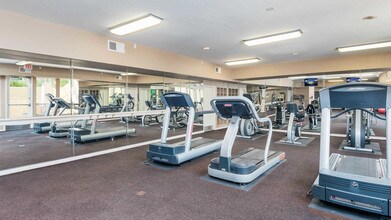 Del Mar Ridge Rentals - San Diego, CA | Apartments.com