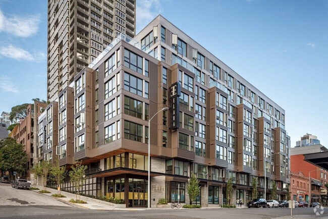 Downtown Seattle Apartments for Rent with Hardwood Floors - Seattle, WA ...
