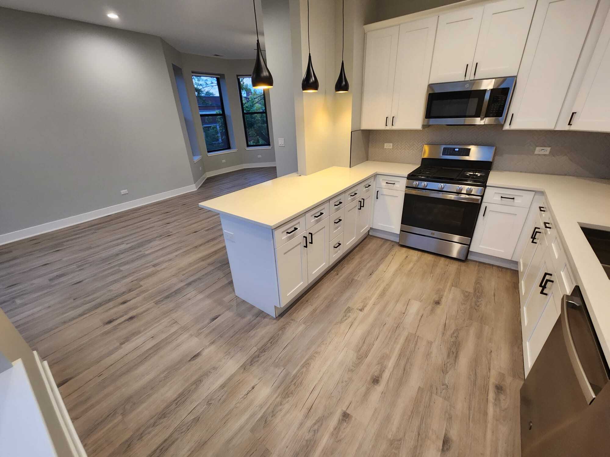 1456 W Addison St Unit 3, Chicago, IL 60613 - 1456 W Addison St Chicago ...