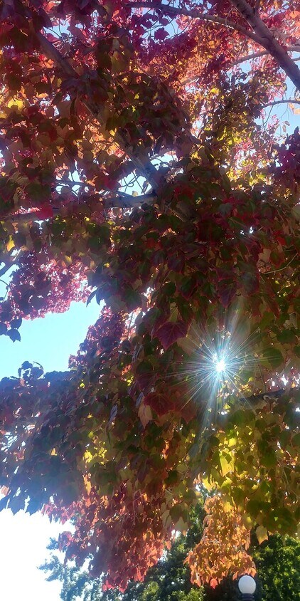 127 Keystone Ave, Reno, NV 89503 - House Rental in Reno, NV ...