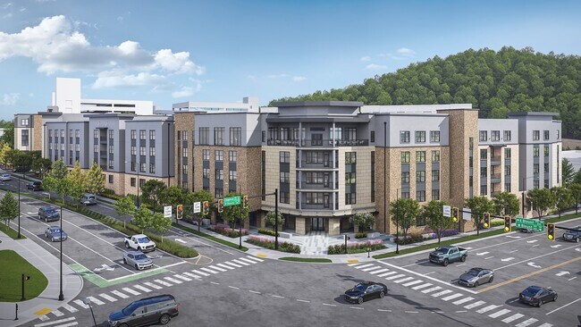 The Davy - Apartments in Knoxville, TN | Apartments.com