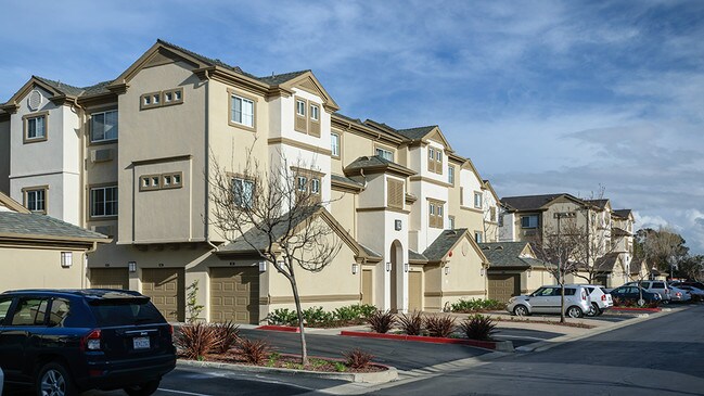Sycamore Bay - Apartments in Newark, CA | Apartments.com
