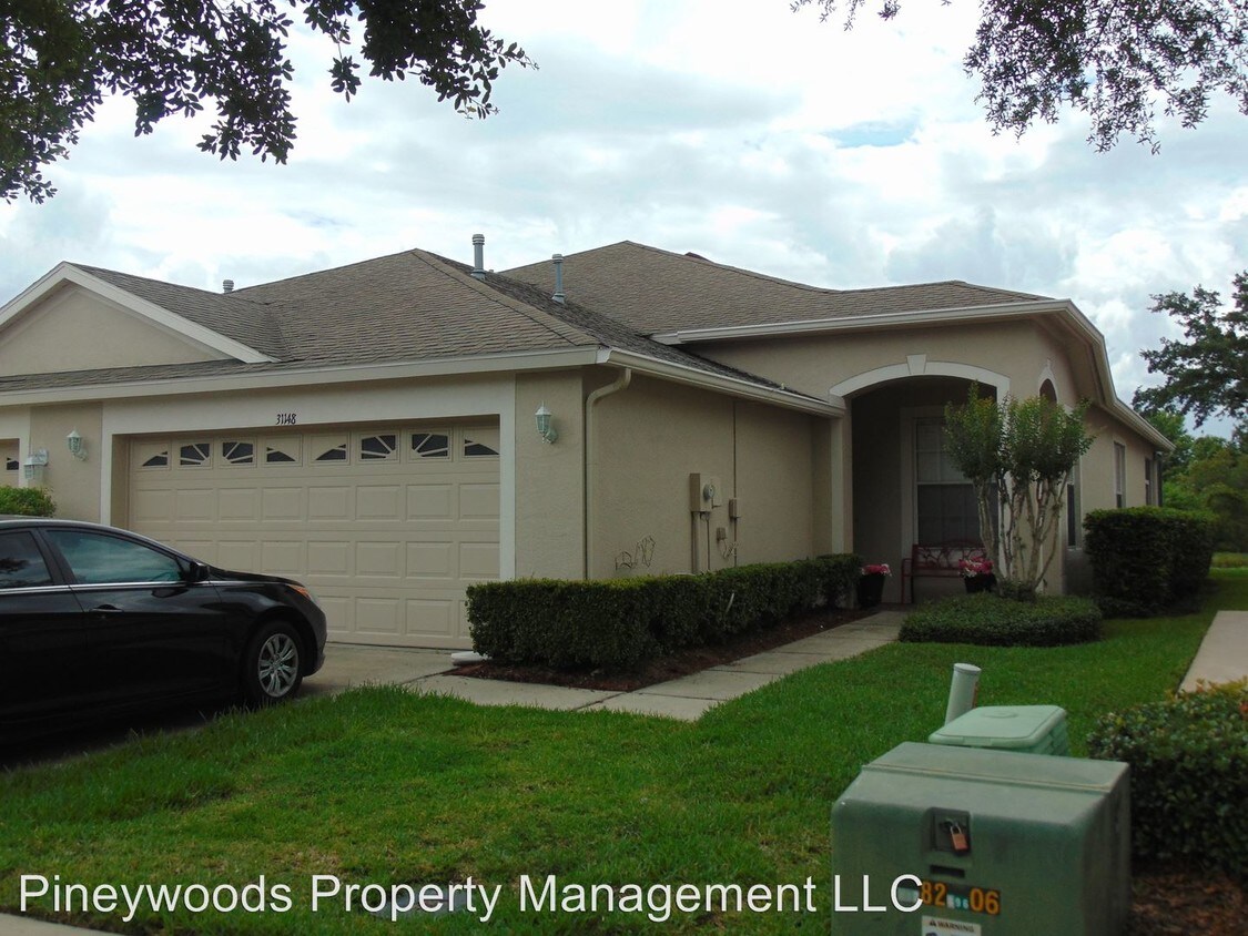31148 Whitlock Dr, Wesley Chapel, FL 33543 - House Rental in Wesley ...