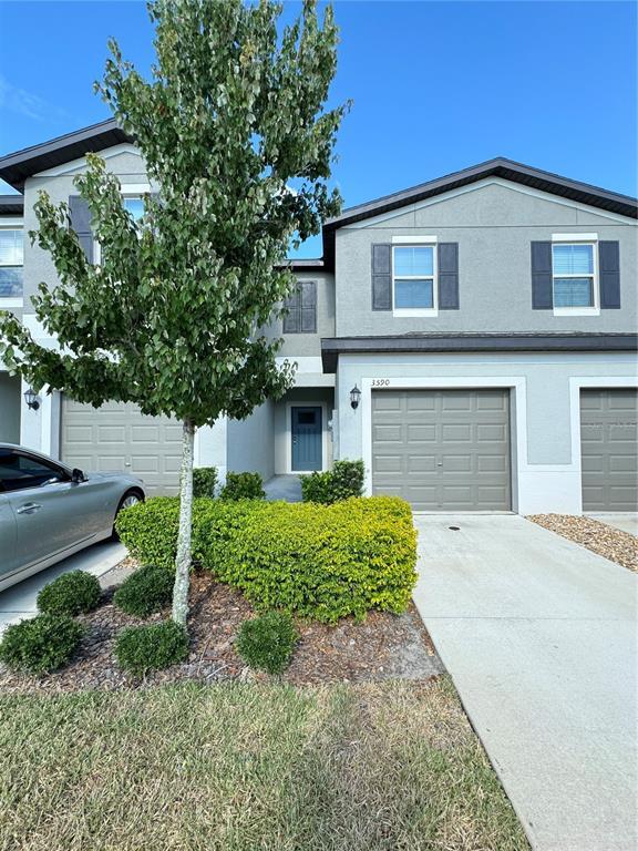 3590 Bellmeade Ct, Wesley Chapel, FL 33543 - Condo for Rent in Wesley ...