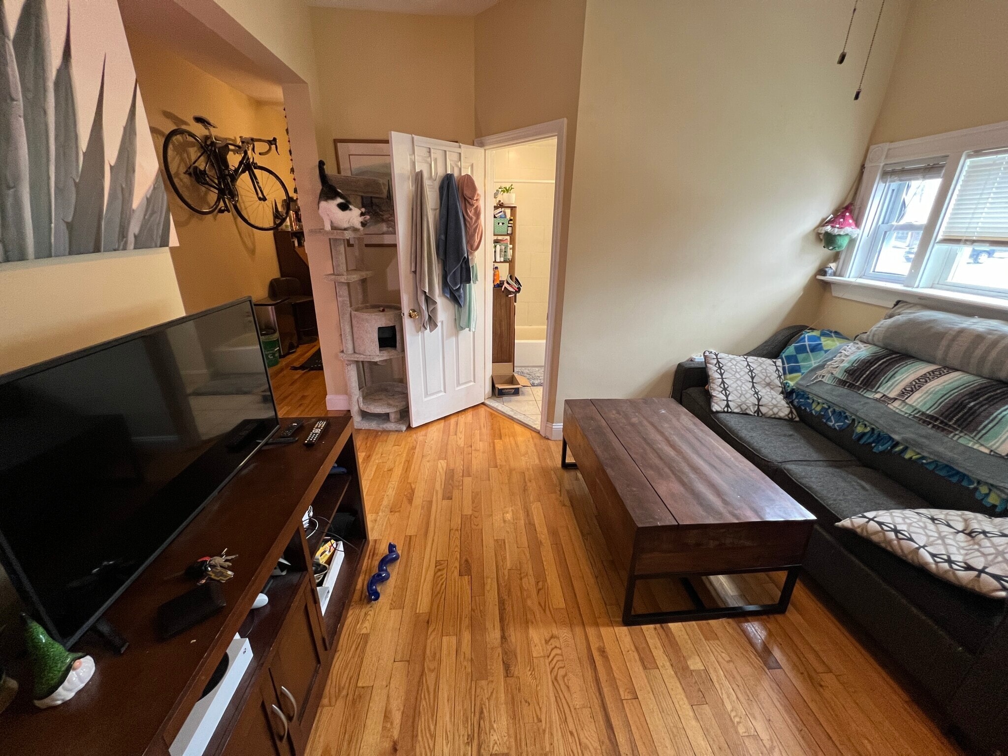 1 Victoria St Unit #1A, Somerville, MA 02144 - 1 Victoria St Somerville ...