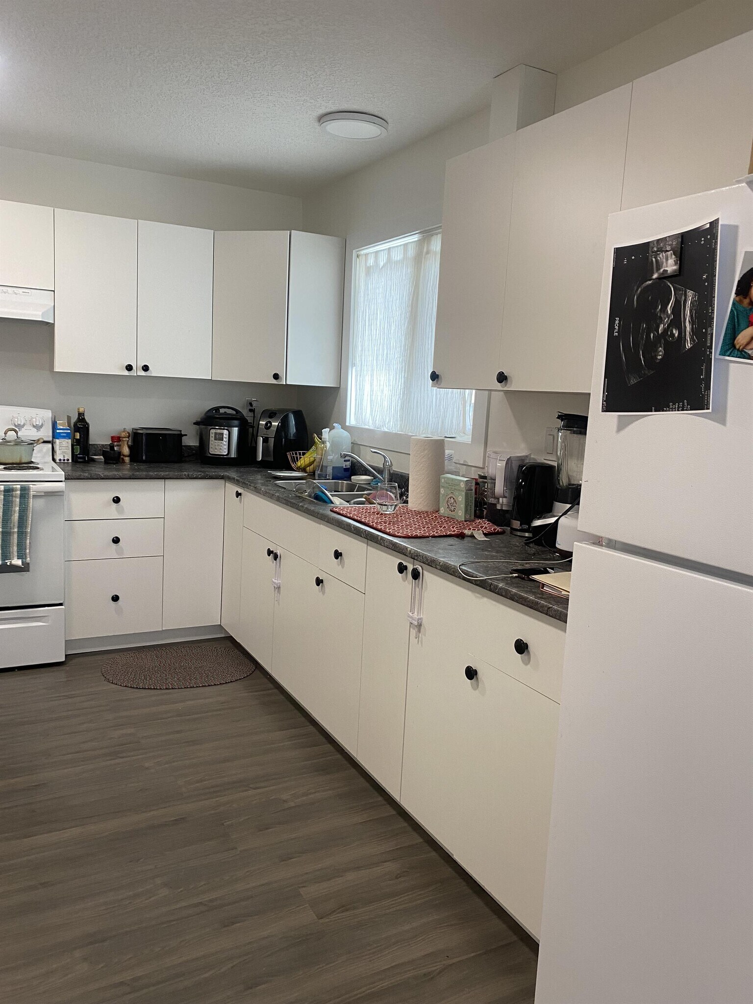 2041 Tamarack St, Prince George, BC V2L 2T6 - Maison à Louer à Prince ...