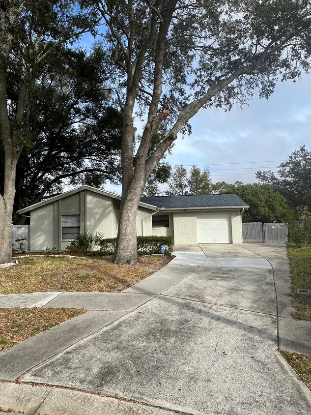 2673 Warmsprings Way, Palm Harbor, FL 34684 - House Rental in Palm ...