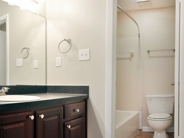 South Pointe Rentals - Tampa, FL | Apartments.com