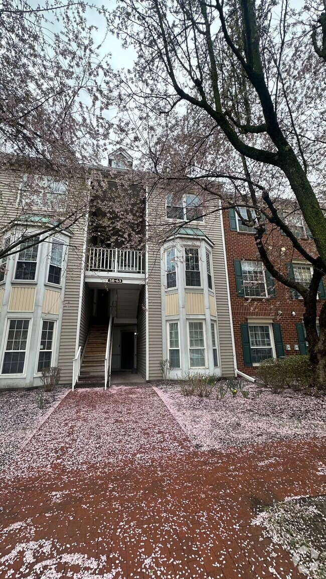 Droyer's Point Apartments for Rent with Washer & Dryer - Jersey City ...