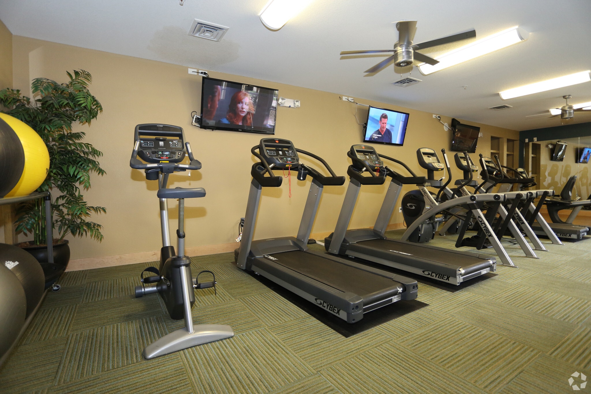 7166 at Belmar - 7166 W Custer Ave Lakewood, CO 80226 | Apartments.com