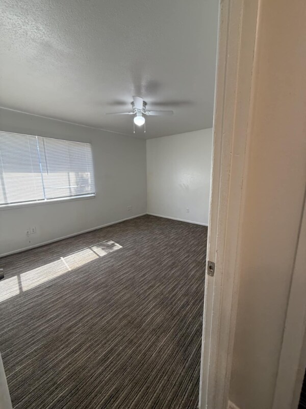 Pep TX Condos for Rent - Page 2